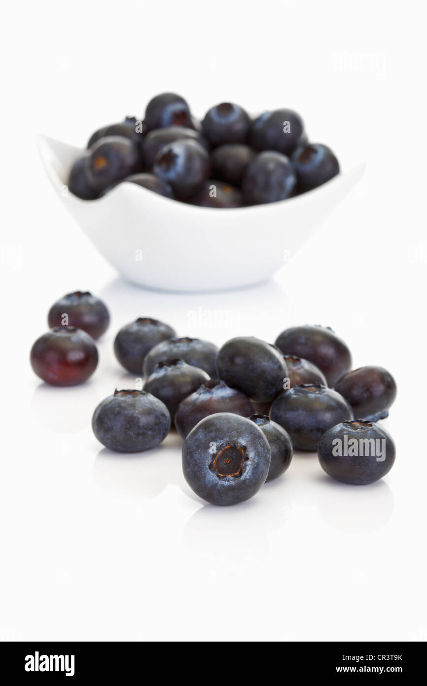 Common bilberry hi-res stock photography and images - Alamy