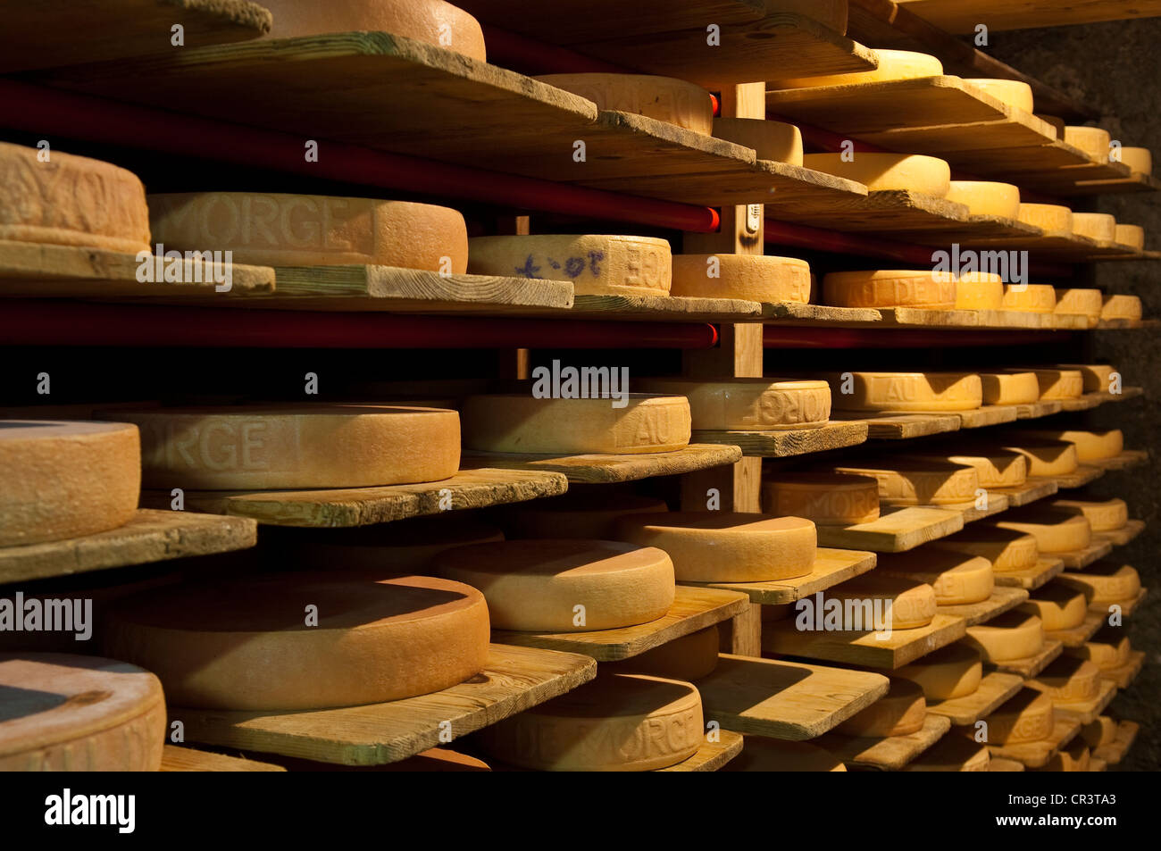 For cheese ripening hi-res stock photography and images - Alamy