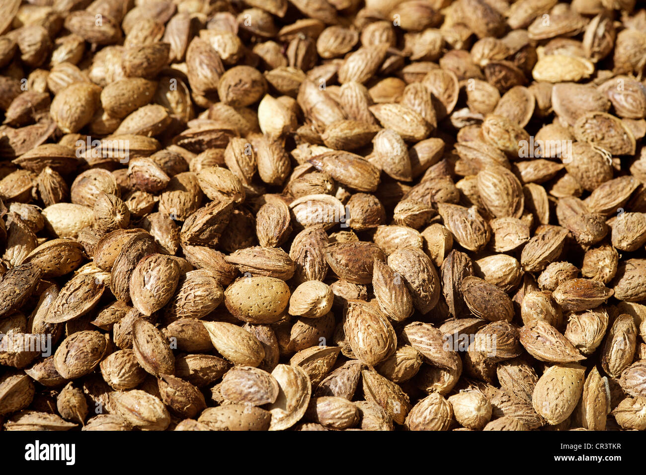 Almonds shells hi-res stock photography and images - Alamy