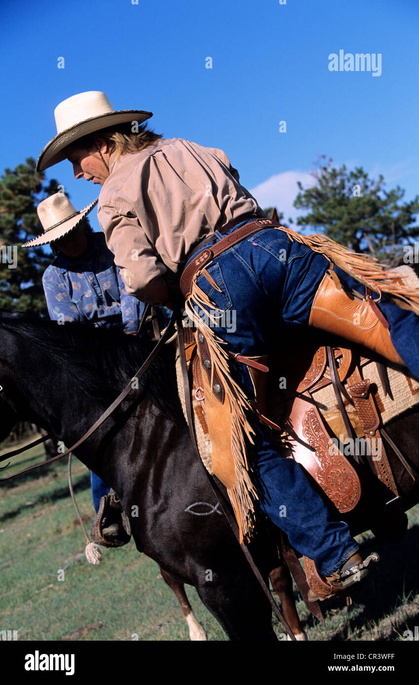Cow riding girl hi-res stock photography and images - Alamy