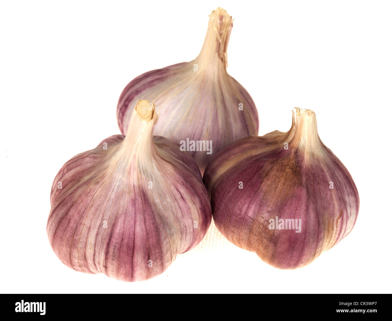 Three bulbs of garlic hi-res stock photography and images - Alamy