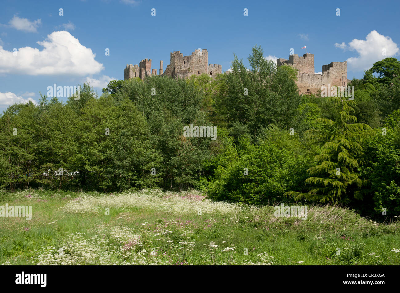 Ludlow Castle, Shropshire Stock Photo - Alamy
