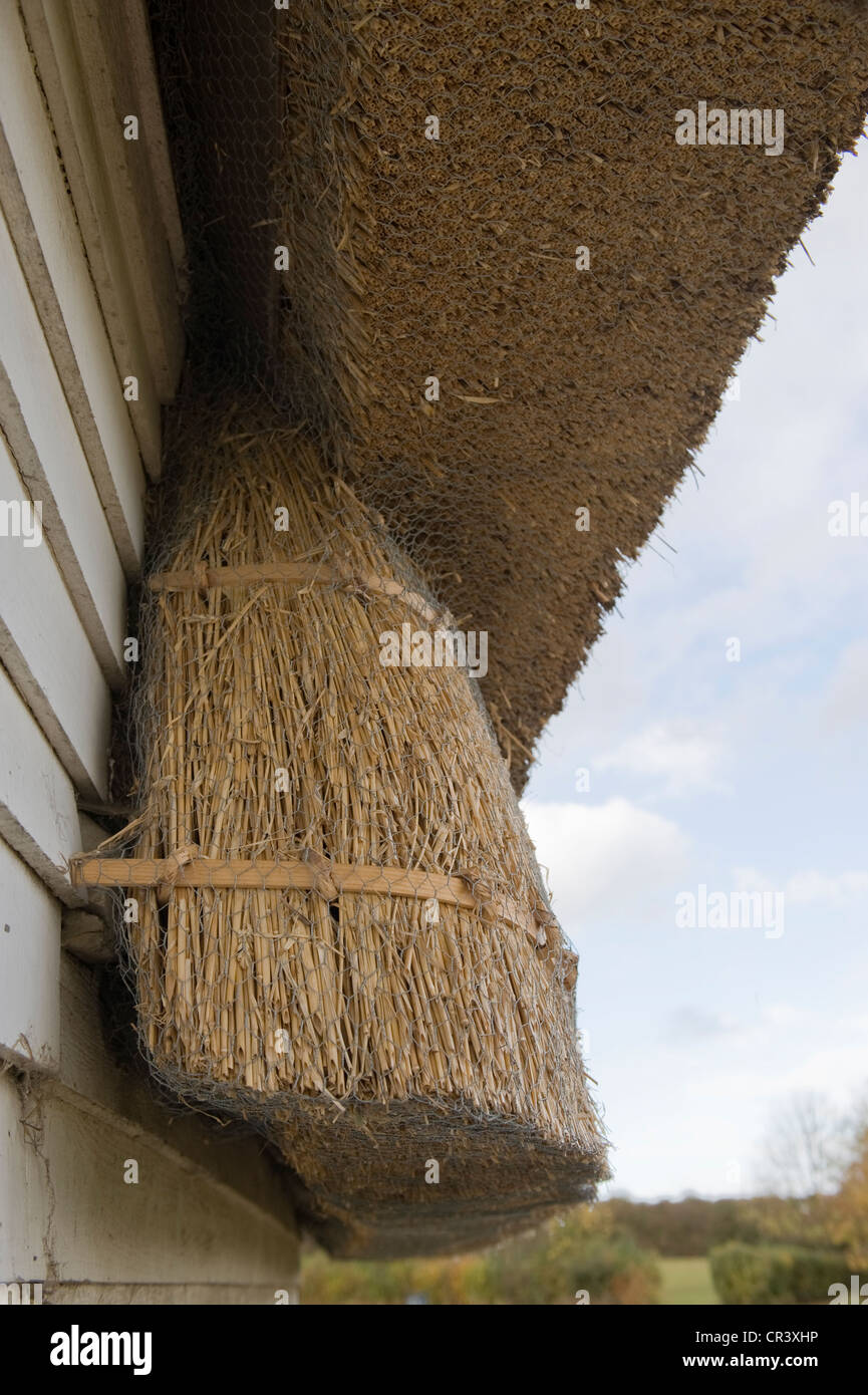 Old thatch roof hi-res stock photography and images - Alamy