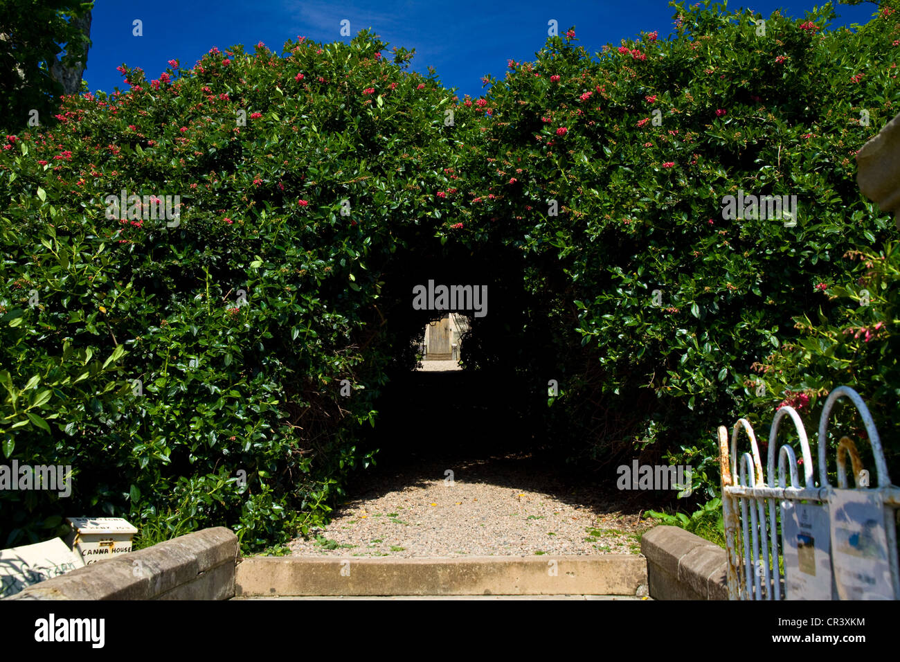 The escalonia tunnel at Canna House, Small Isles, Scotland Stock Photo ...