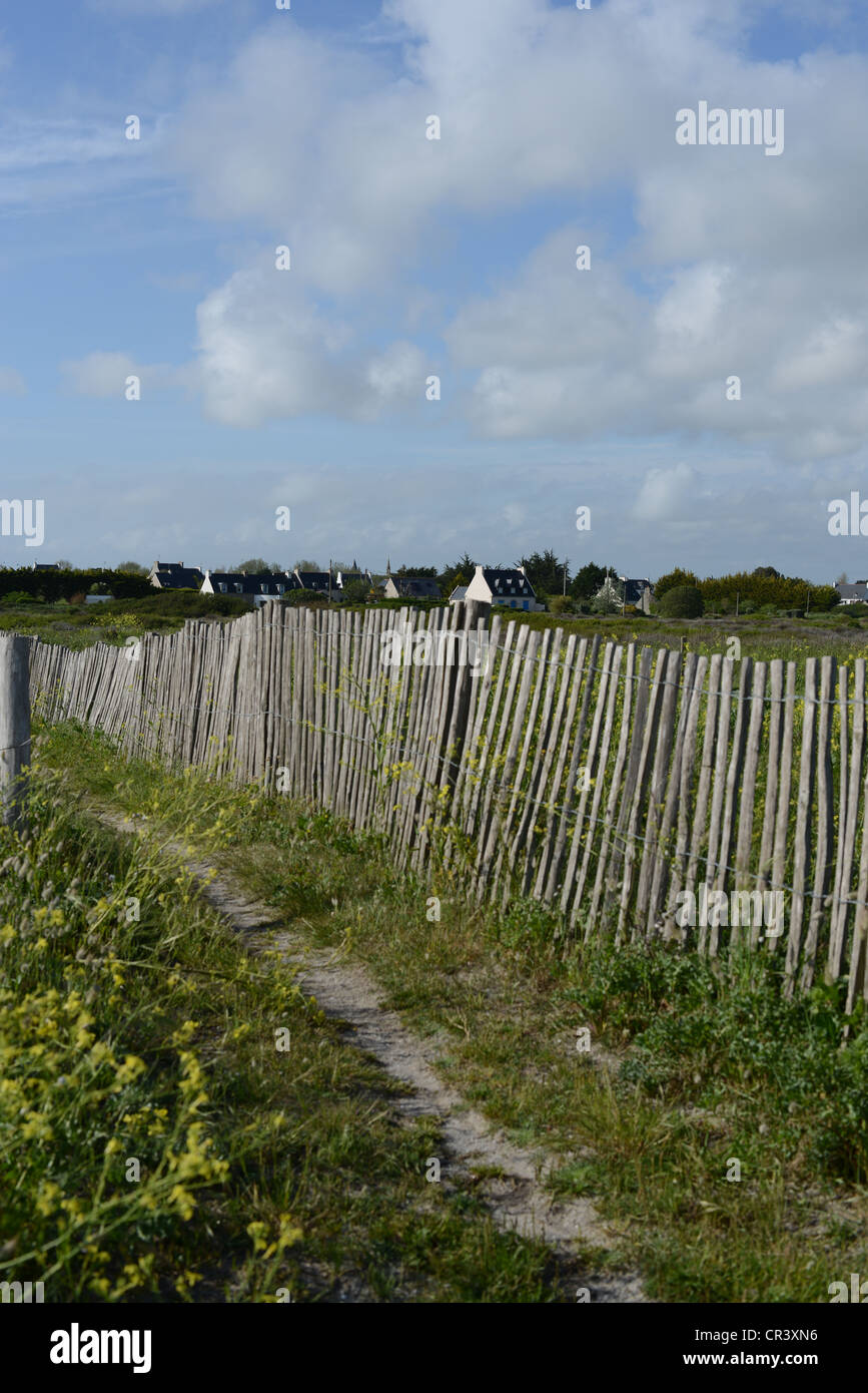 Dune stabilization hi-res stock photography and images - Alamy