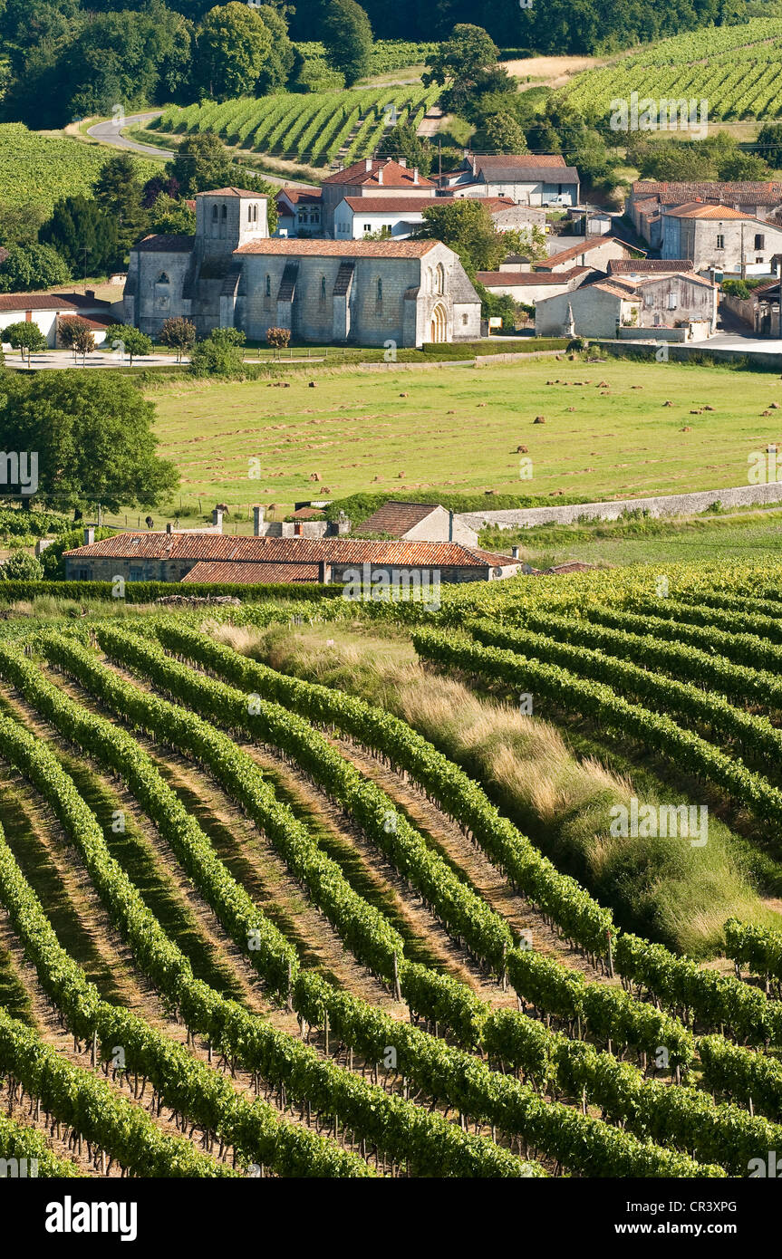 Grande champagne cognac hi-res stock photography and images - Alamy