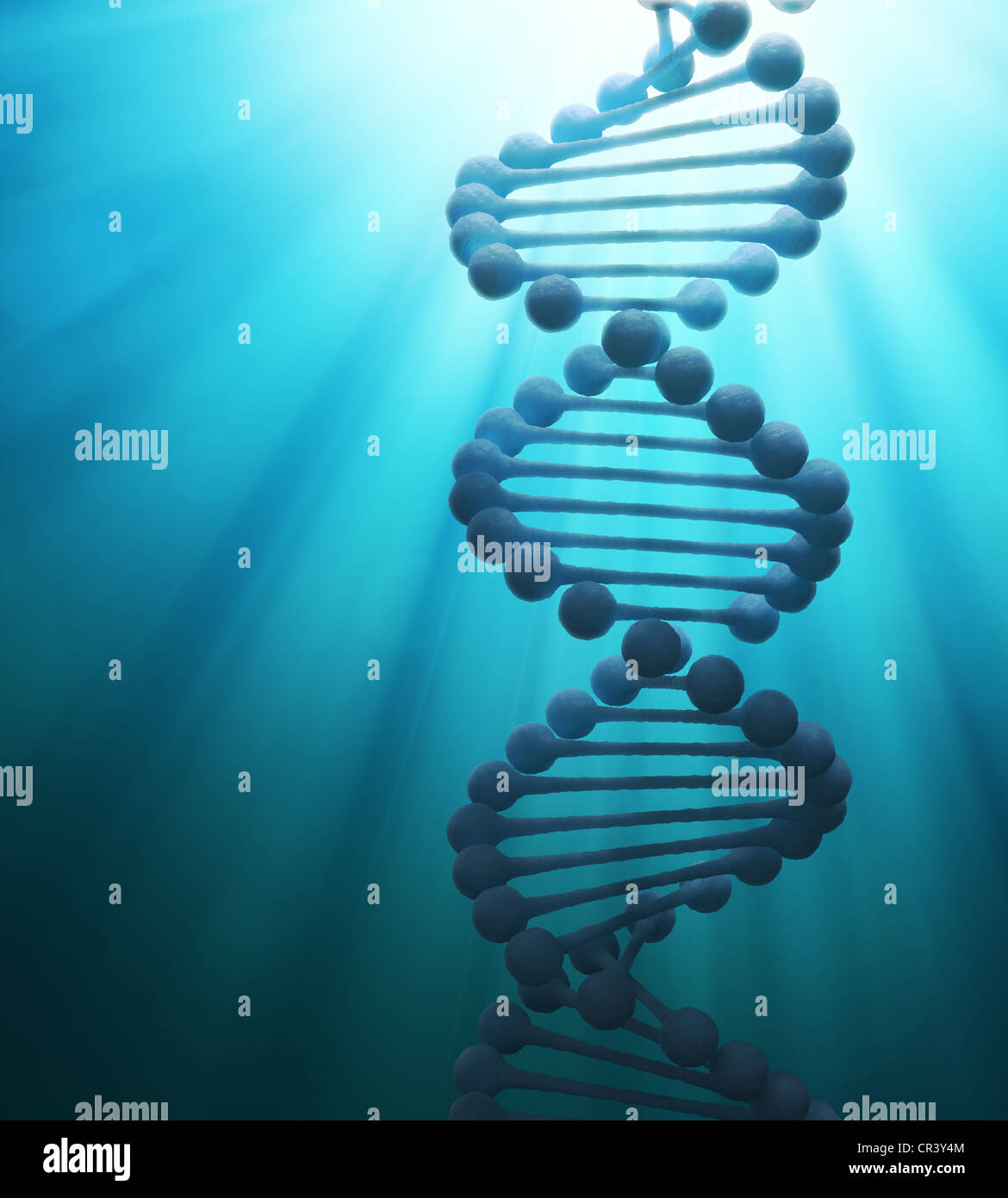 Simplified DNA double helix strand model Stock Photo - Alamy