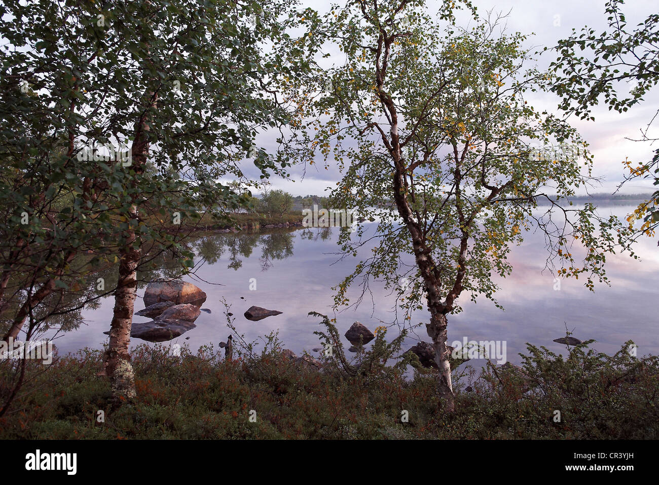 Inari lake hi-res stock photography and images - Alamy