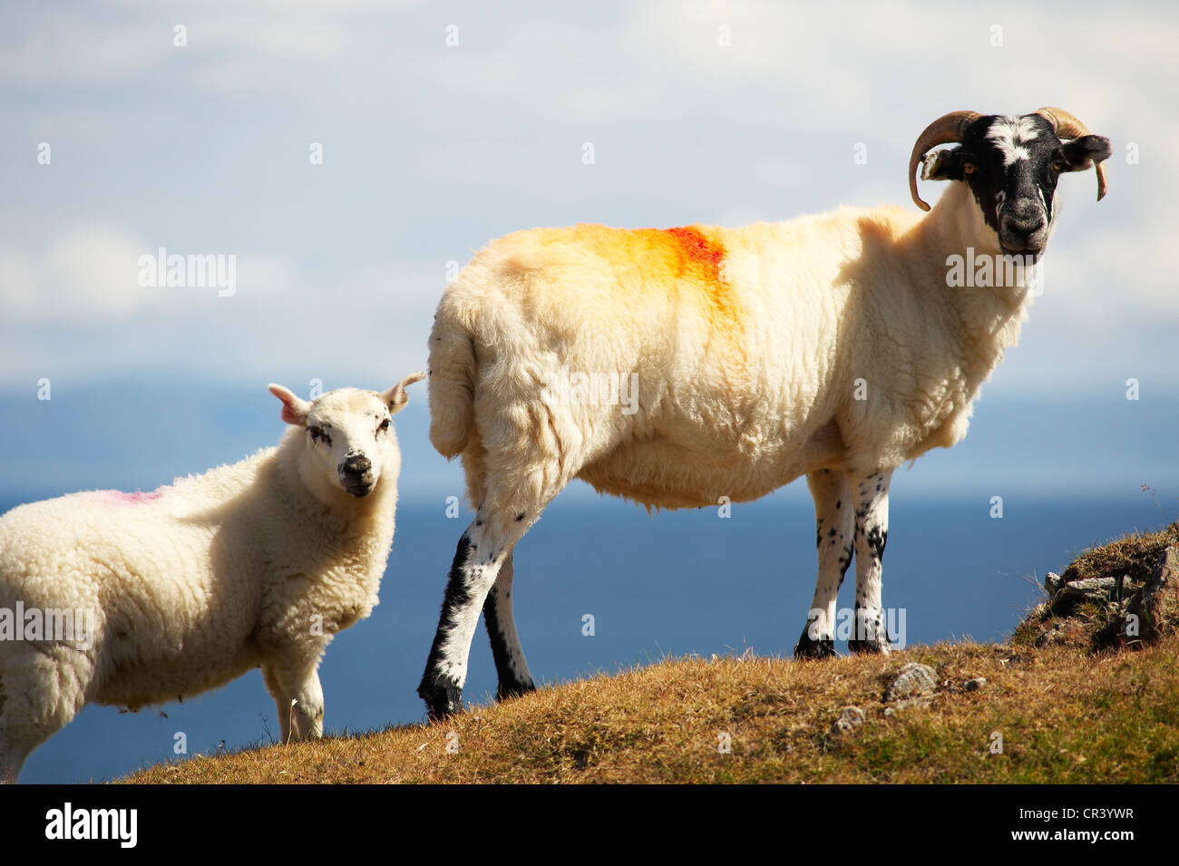 United Kingdom, Highlands, Outer Hebrides, Isle of Harris, South East ...
