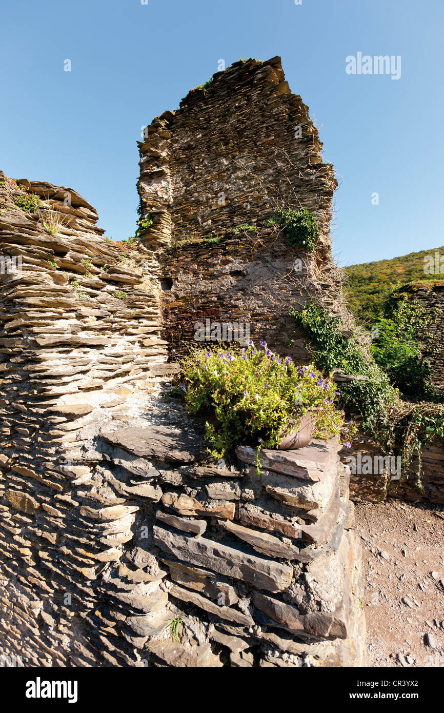 Metternic hi-res stock photography and images - Alamy