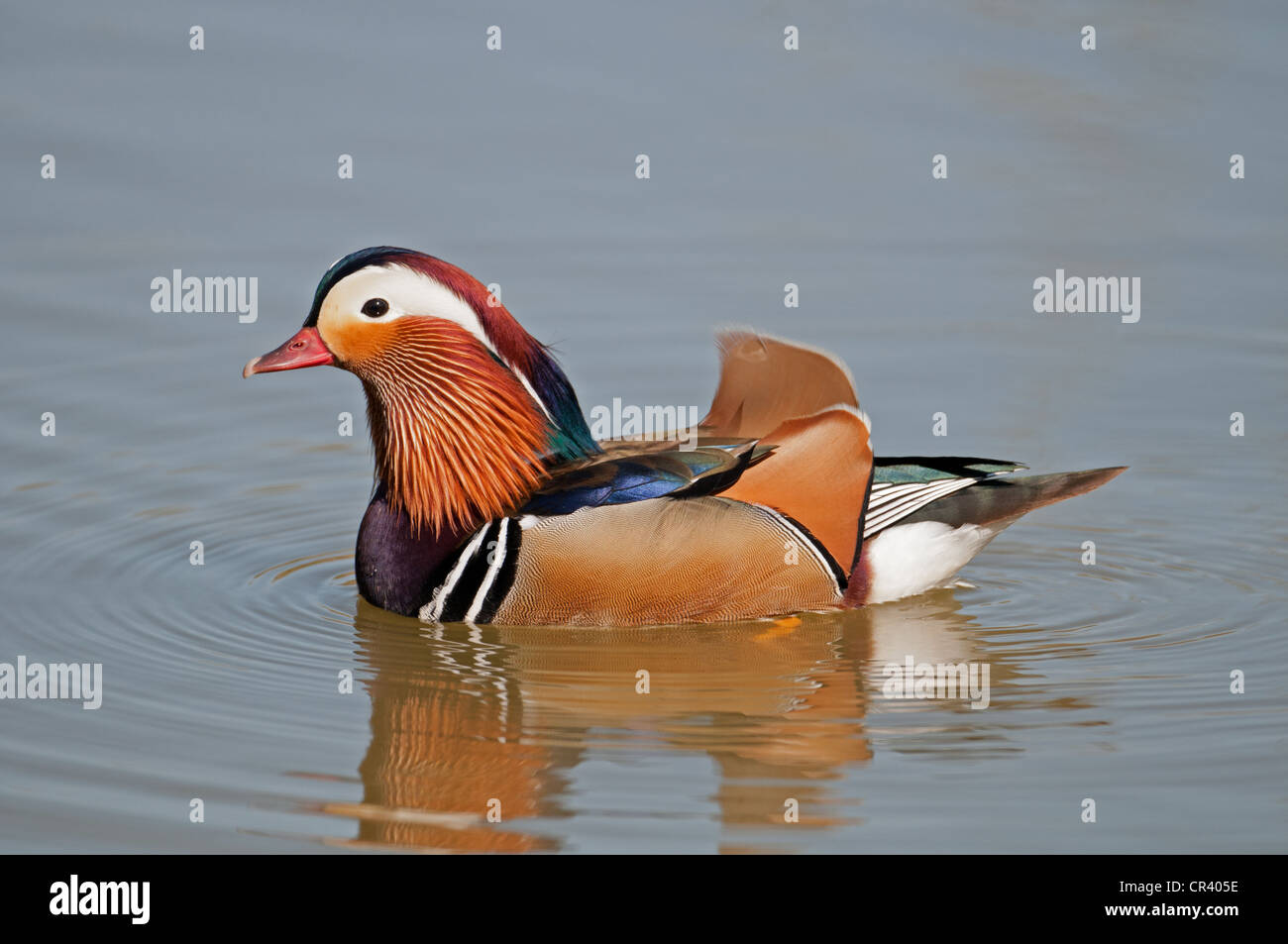 Aix water hi-res stock photography and images - Alamy