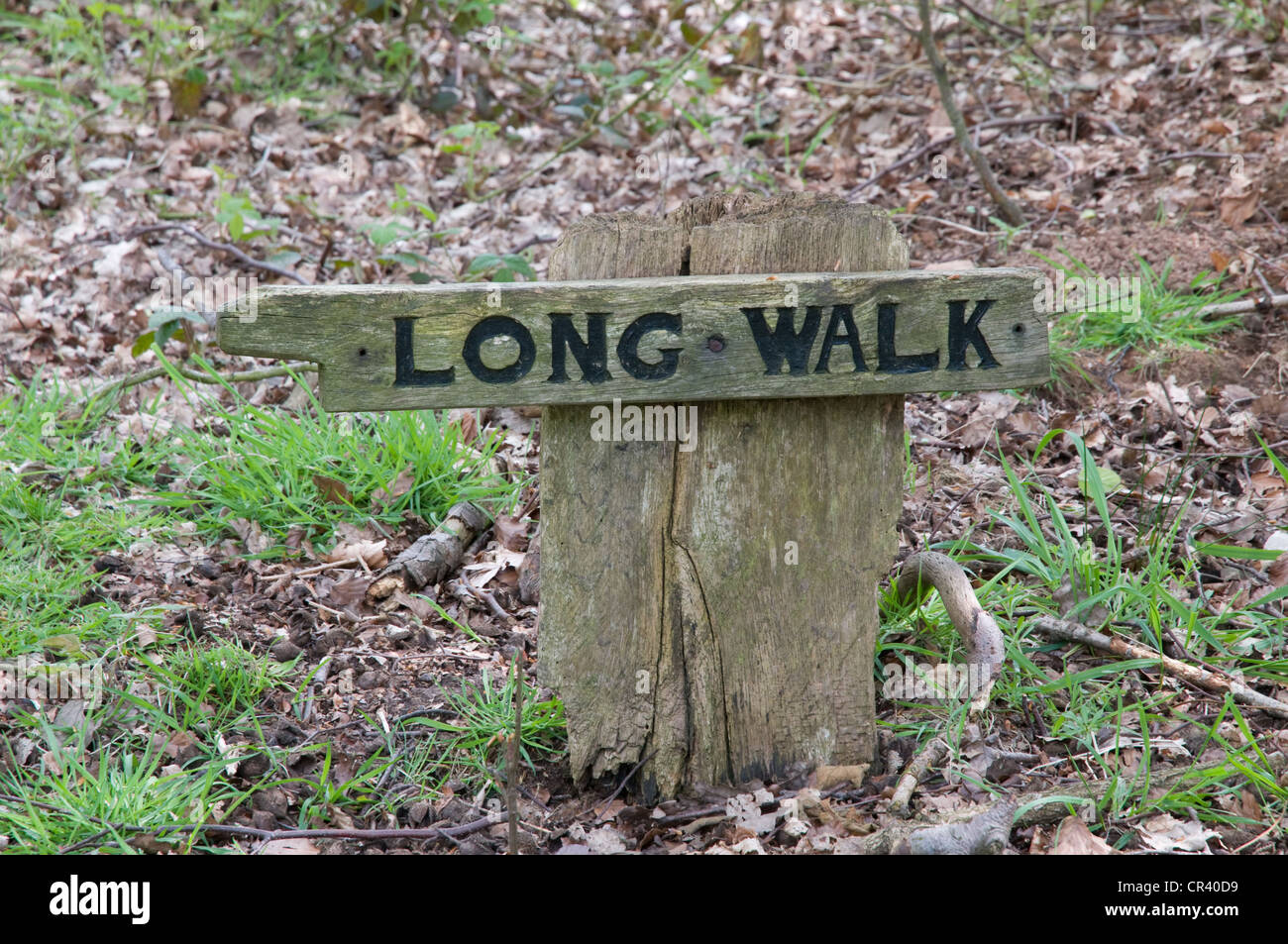 Wooden hand carved sign on footpath reading LONG WALK in Derbyshire ...