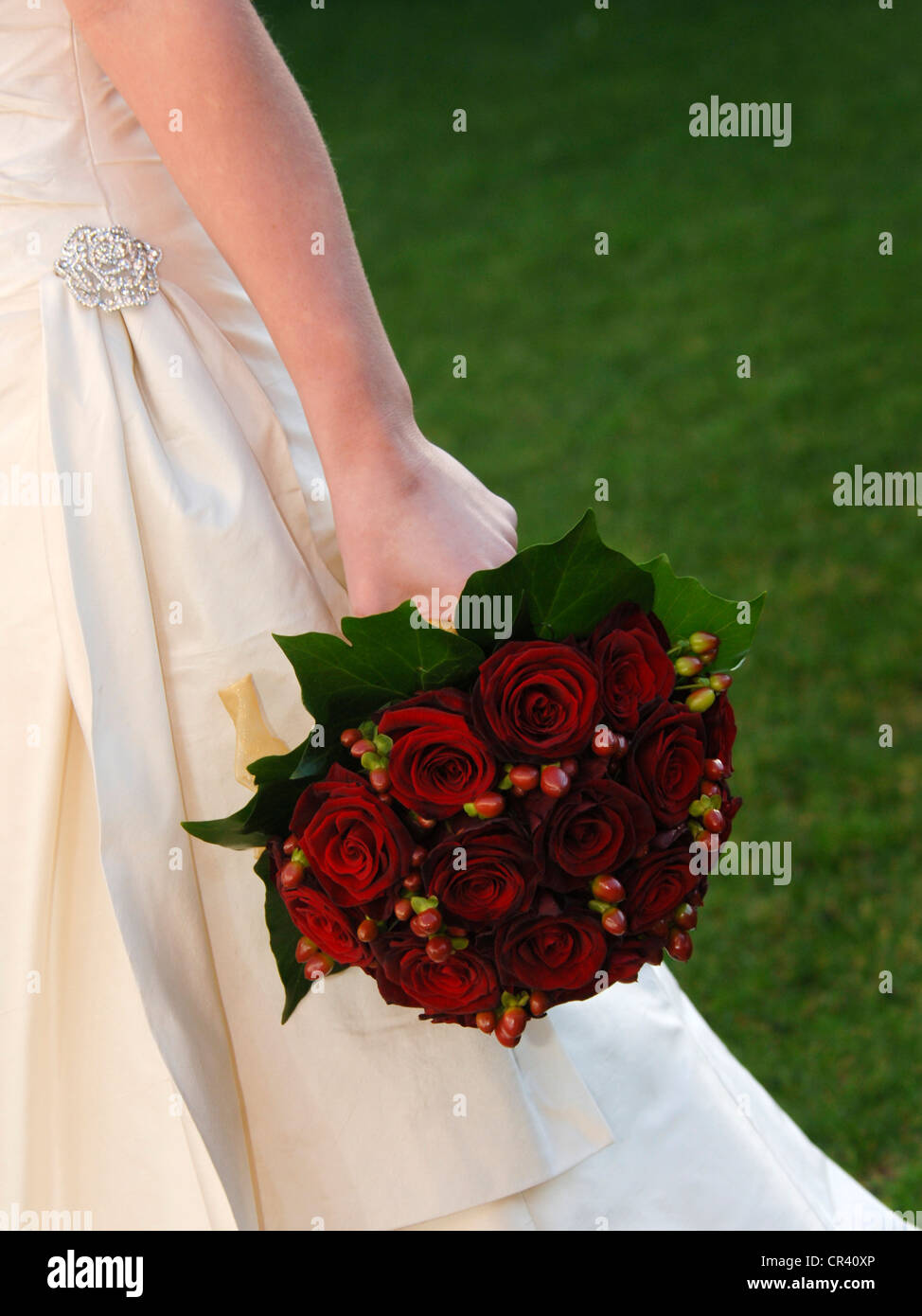 Red bridal roses Stock Photo - Alamy