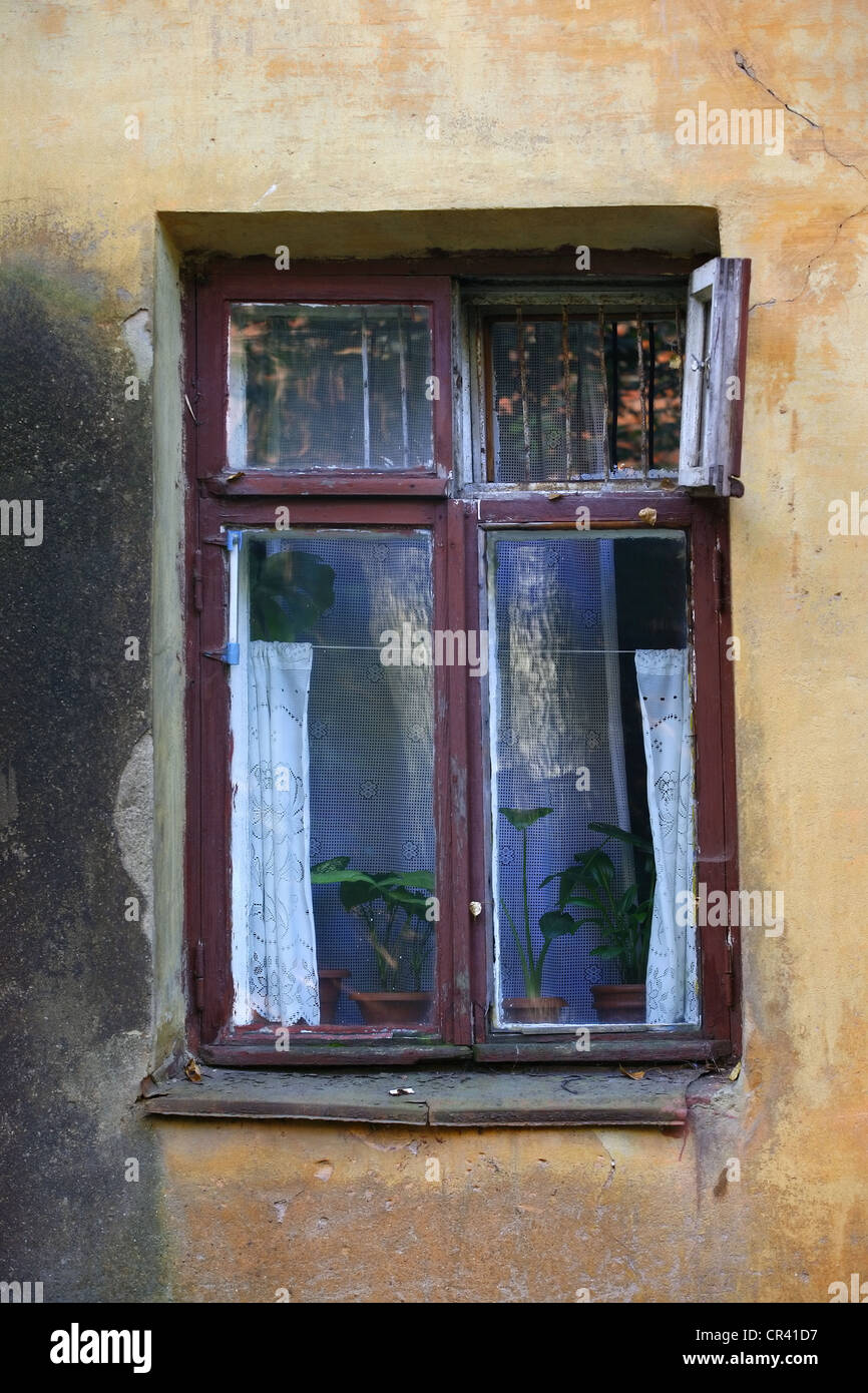 Old window with flowers on a window sill Stock Photo - Alamy