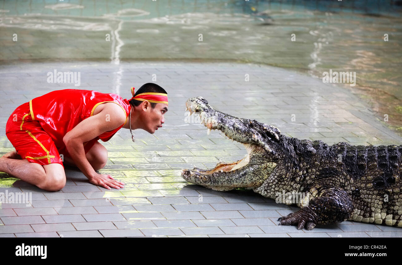 Crocodile wrestling hi-res stock photography and images - Alamy