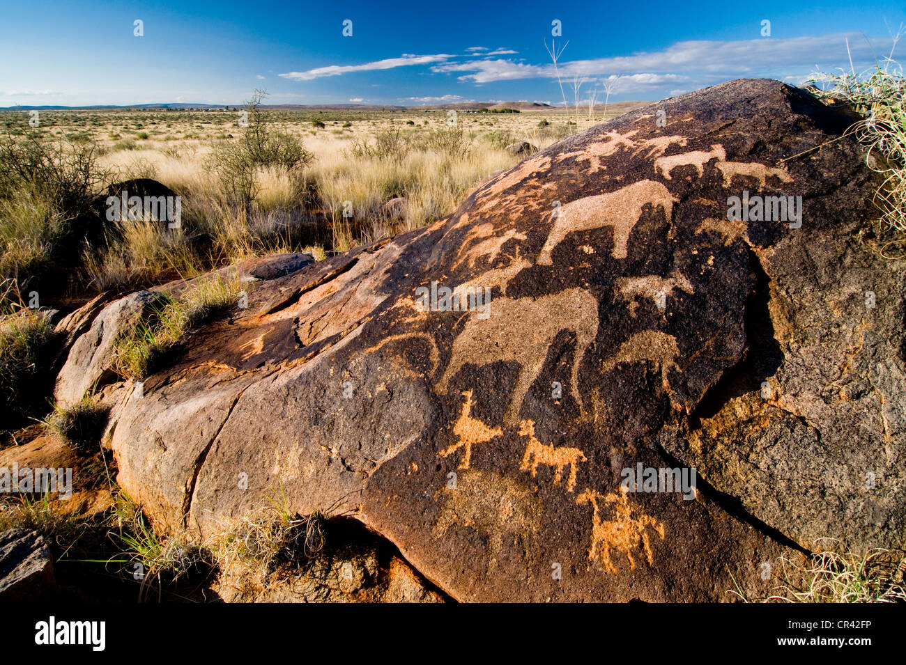 Kenhardt petroglyphs hi-res stock photography and images - Alamy