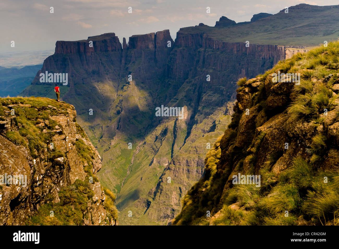 Devils tooth hi-res stock photography and images - Alamy