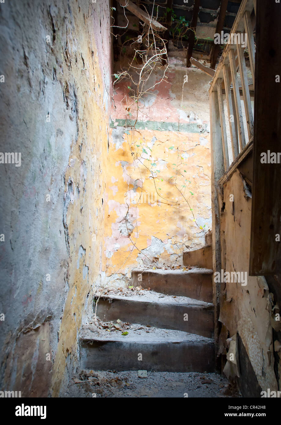 Ruined stairs hi-res stock photography and images - Alamy