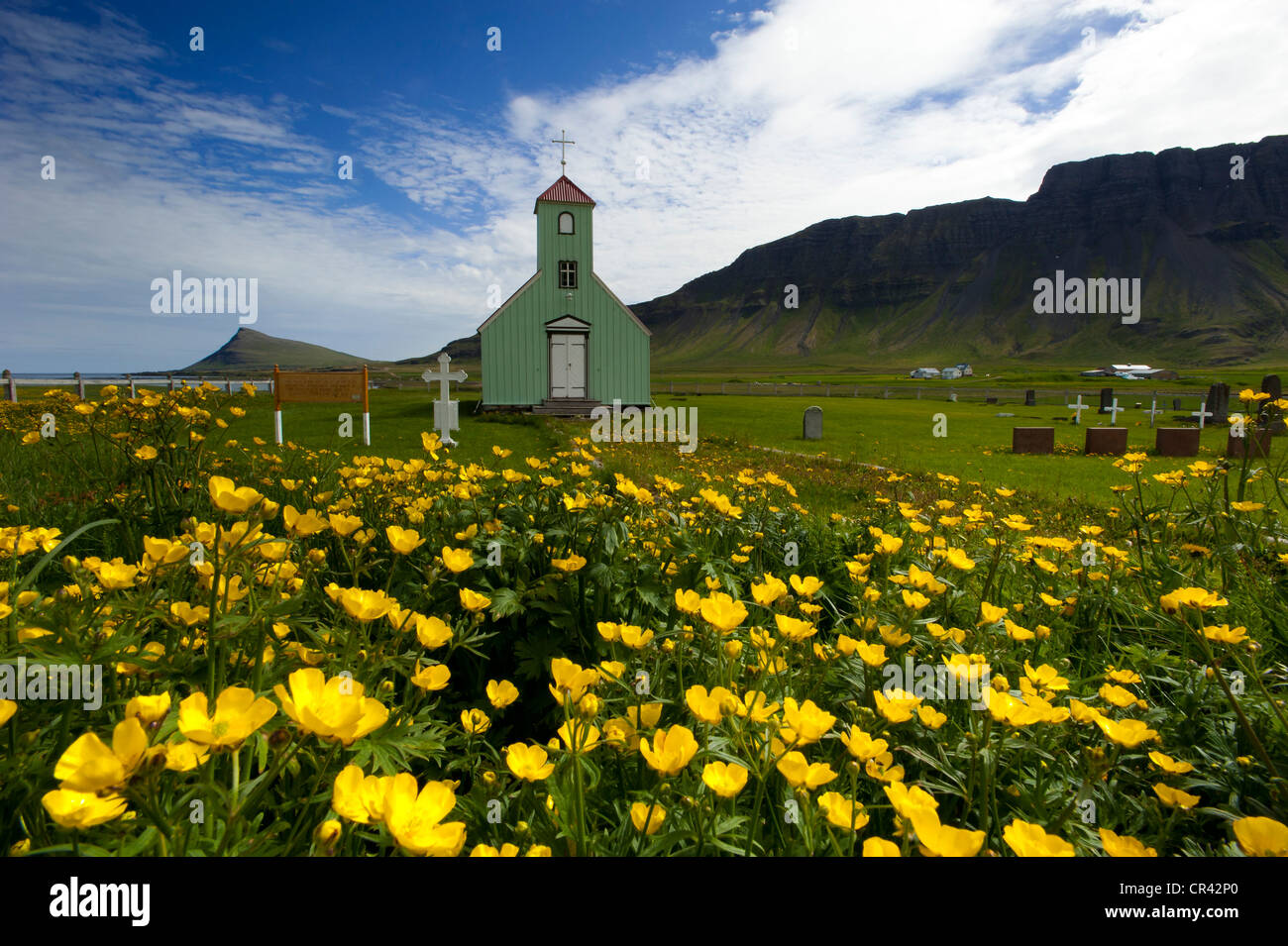 Buttercups backdrop hi-res stock photography and images - Alamy