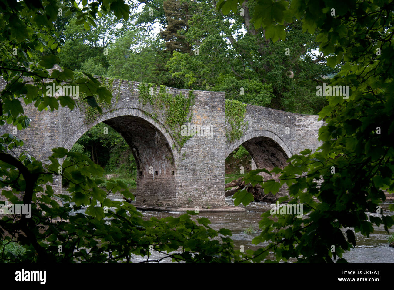 Llangynidr bridge through the trees Stock Photo - Alamy