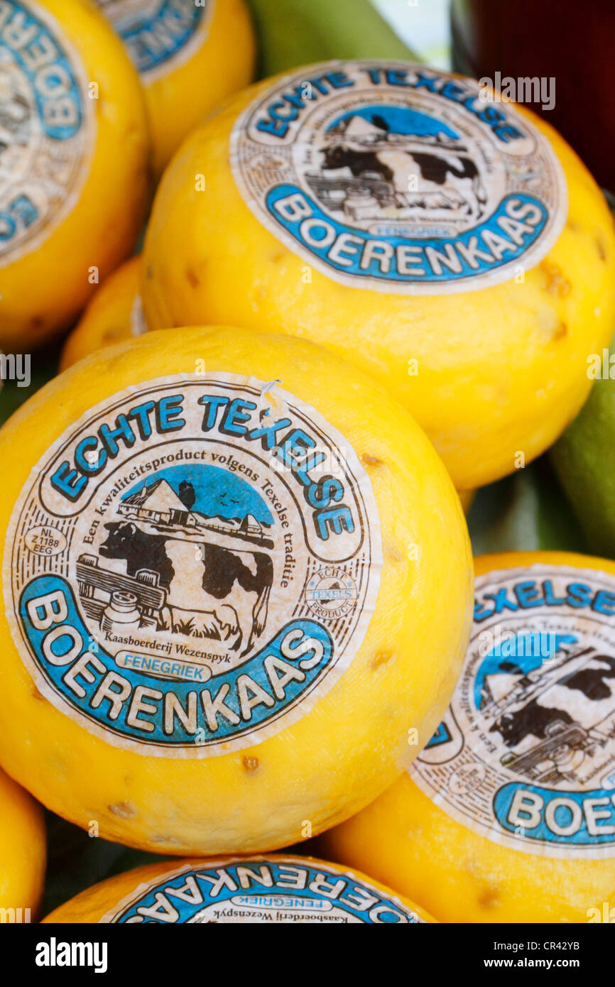 Typical cheese from the North Sea island of Texel, North Holland ...