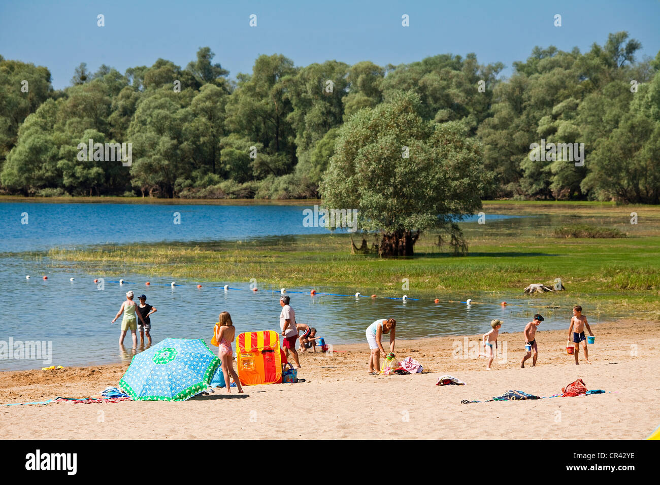 France, Aube, lac de la Foret d'Orient, Geraudot beach Stock Photo - Alamy