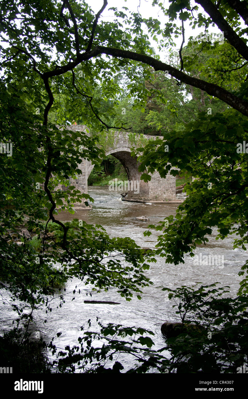 Llangynidr bridge through the trees Stock Photo - Alamy