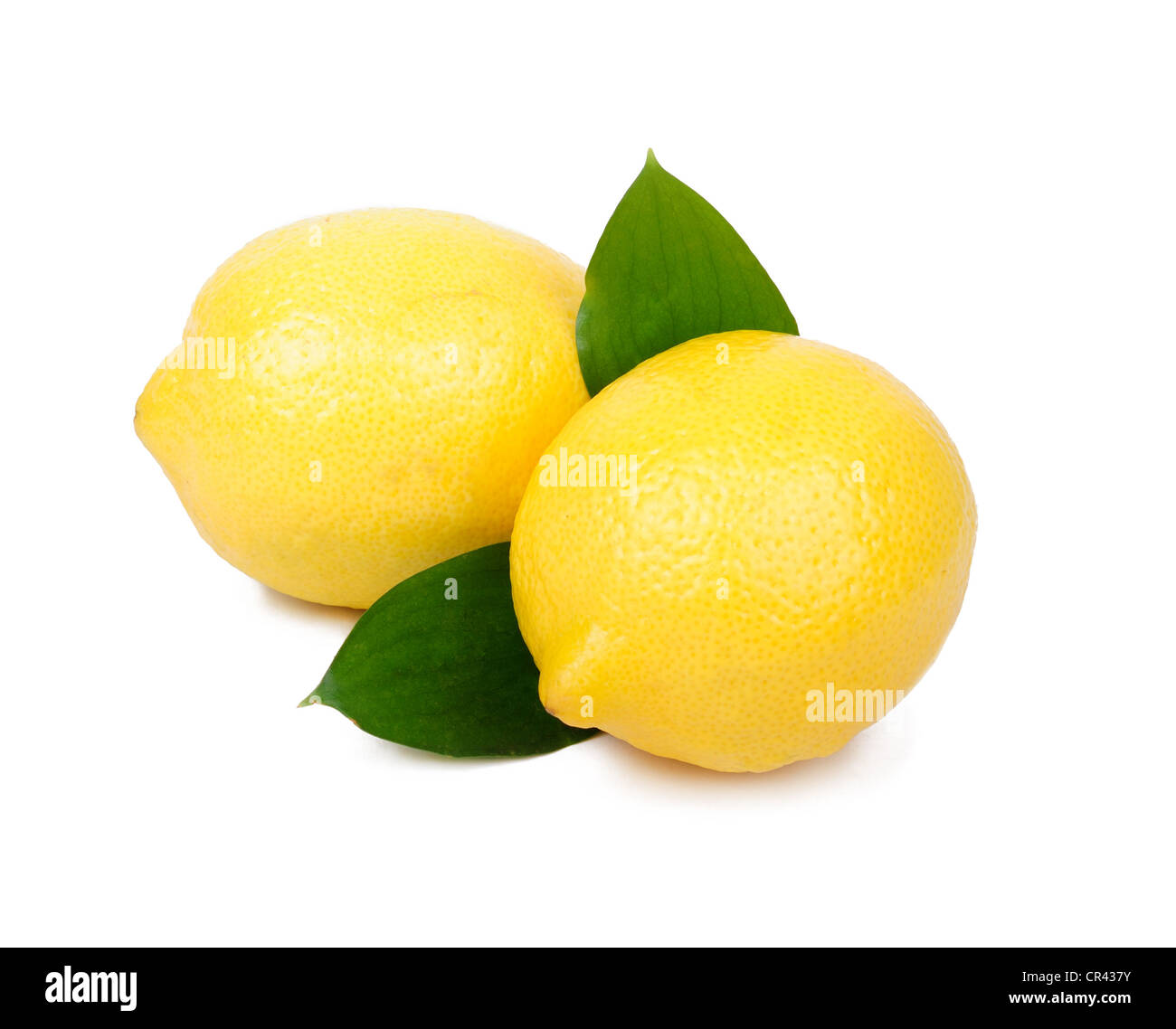 Lemon fruit isolated on white background Stock Photo - Alamy
