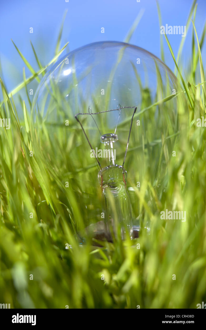 light bulb on a fresh grass Stock Photo - Alamy