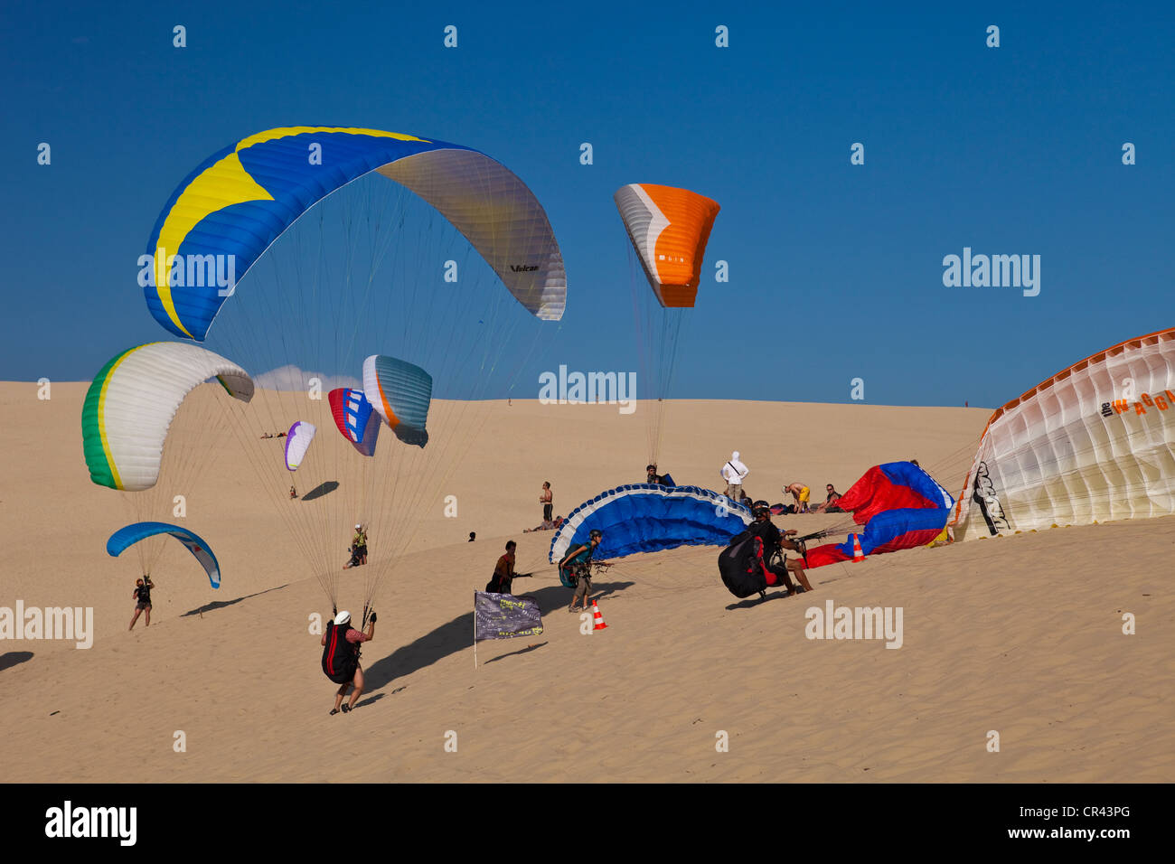 France, Gironde, Bassin d'Arcachon, Pyla-sur-Mer, paragliding on Dune ...