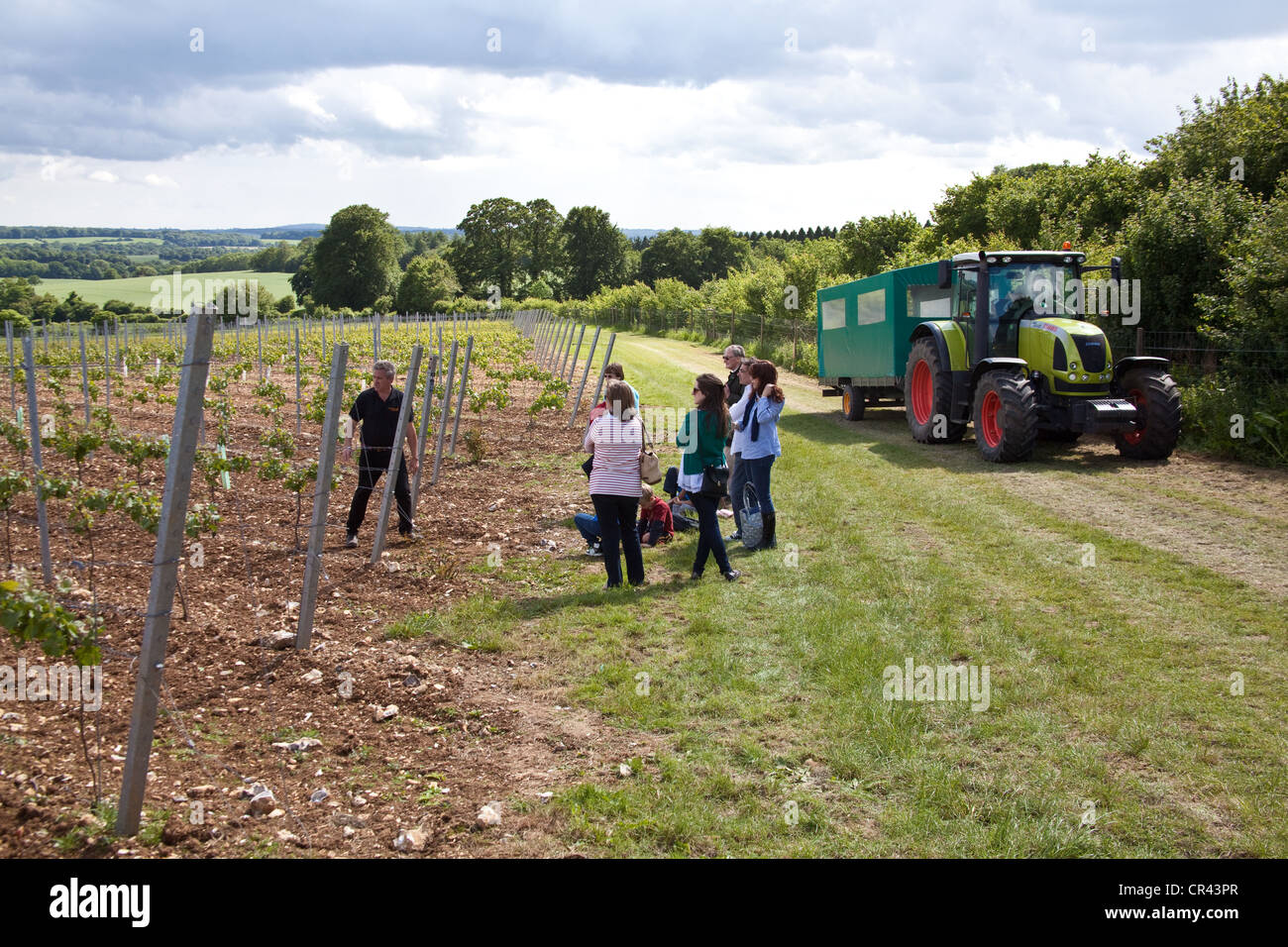 Simon Checketts giving a tour of the Hattingley Valley vineyard ...