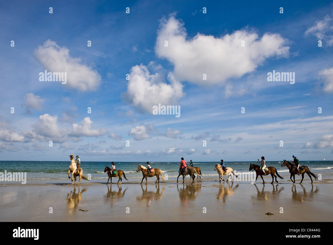 France, Manche, Cotentin, La Hague, Urville Nacqueville, horseback ...