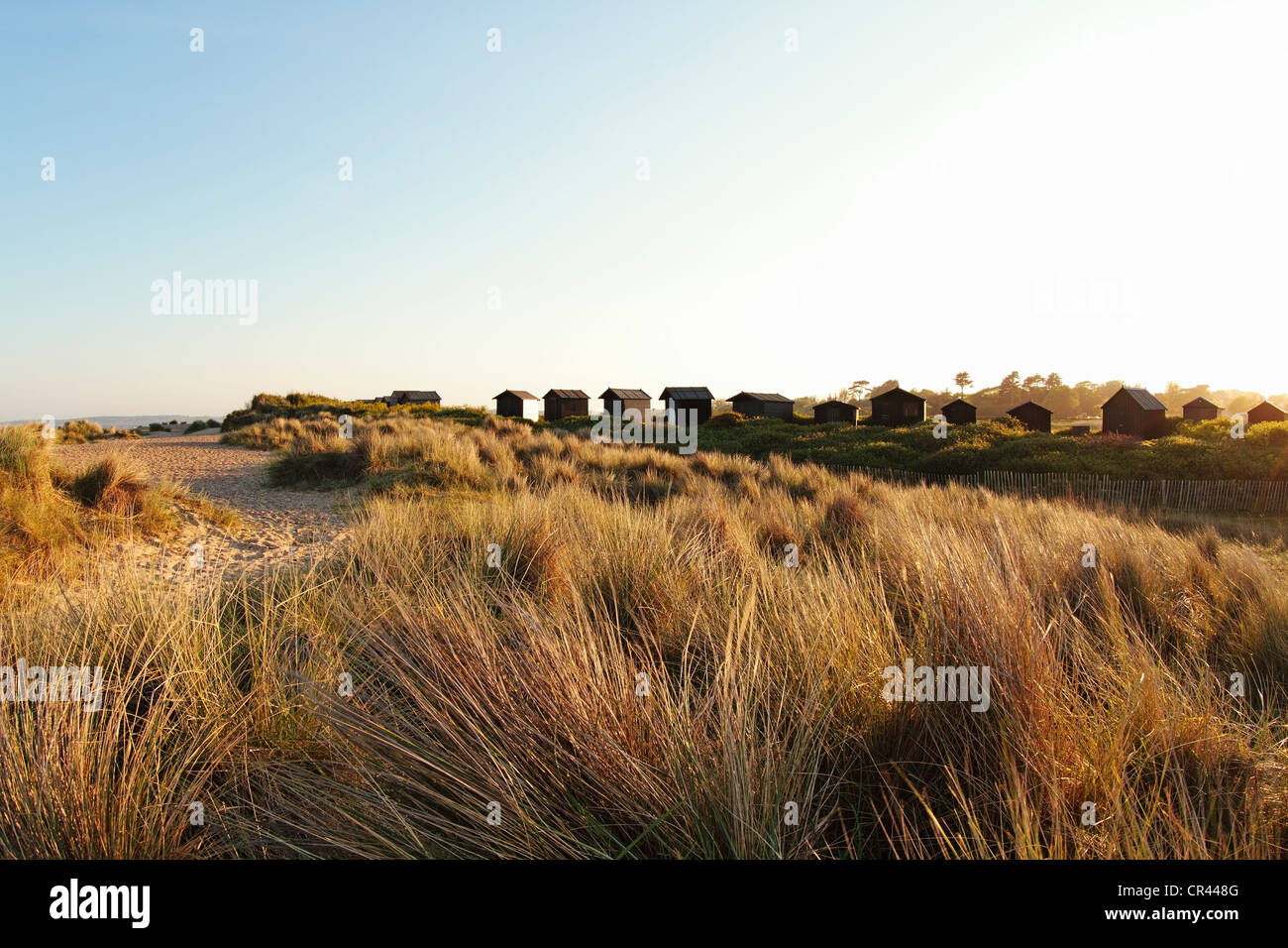 Walberswick Beach Huts and Sand Dunes, Evening Light, Suffolk, England ...