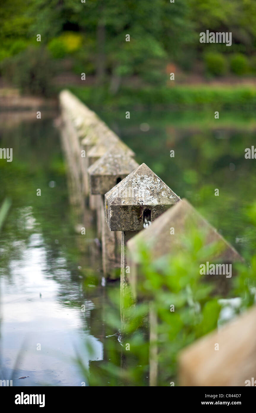 The lakeside, Highfields, Nottingham University Stock Photo - Alamy