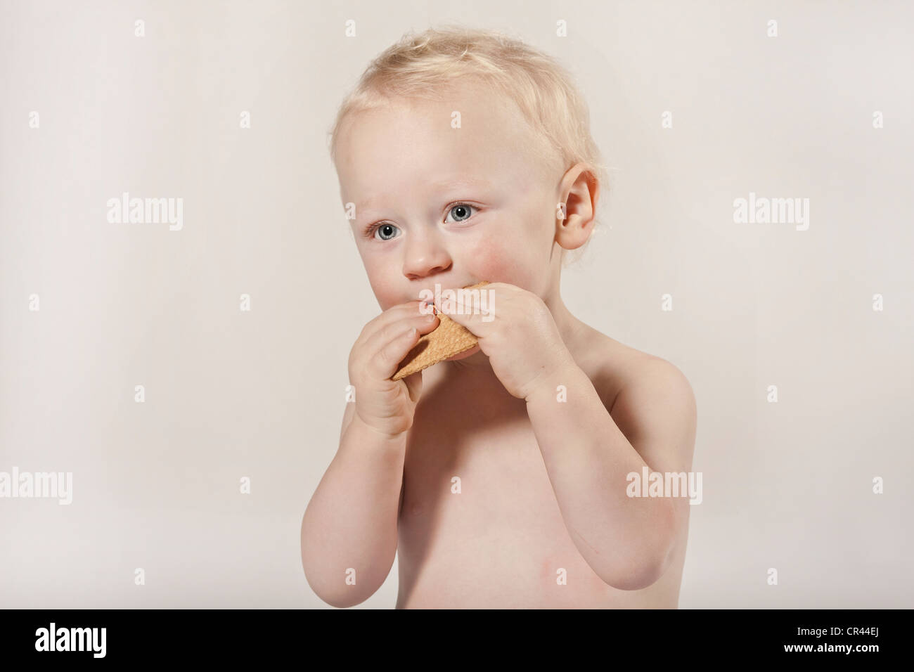 Toddler, boy, 1, eating a cookie Stock Photo - Alamy