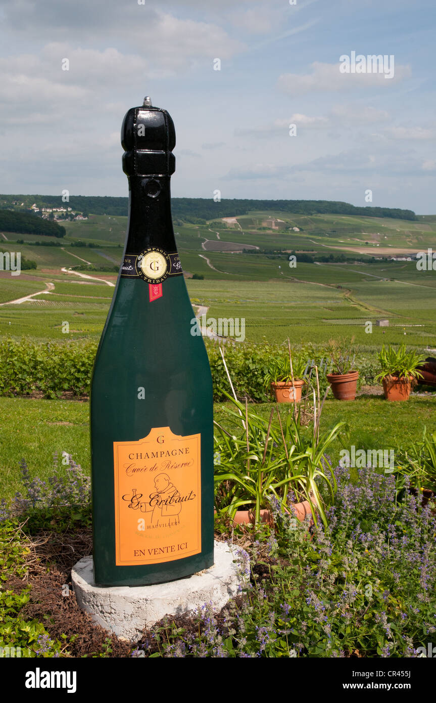 Champagne vineyards around Hautvilliers, France Stock Photo - Alamy