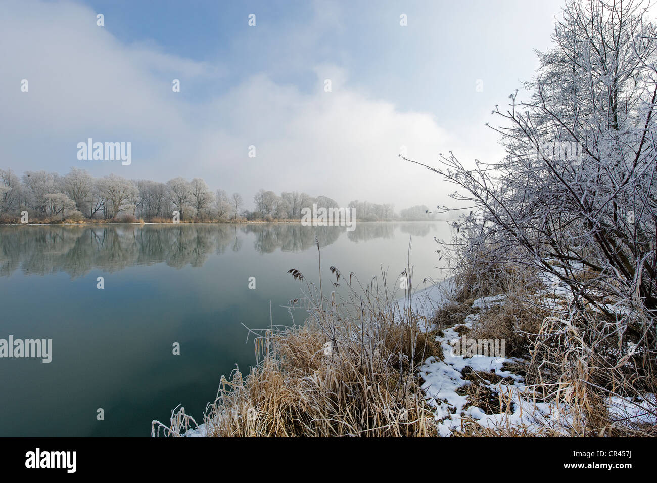 Floodplains of the Inn river, Innspitz Nature Reserve, confluence of ...