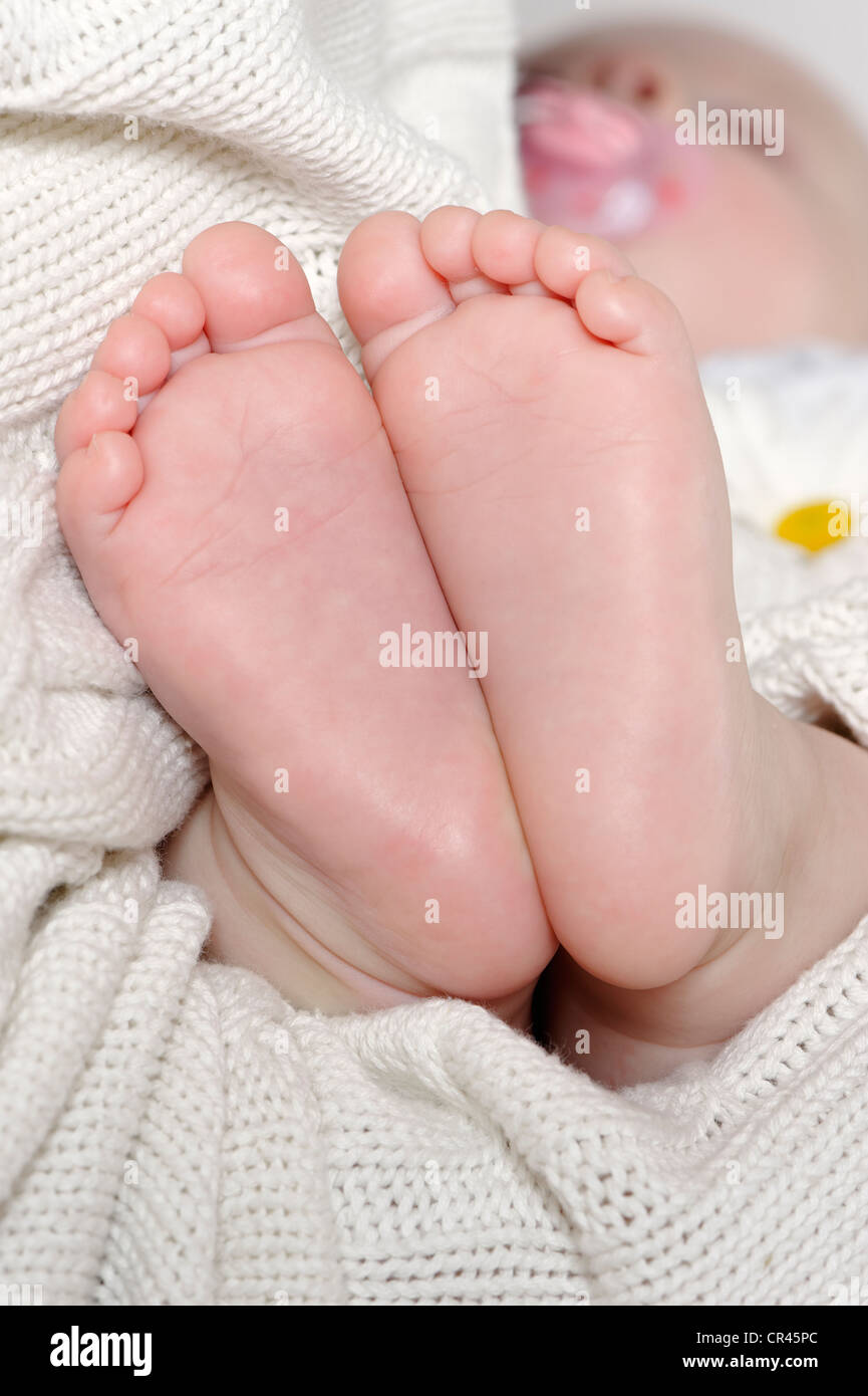 Feet of a baby, 6 months Stock Photo - Alamy