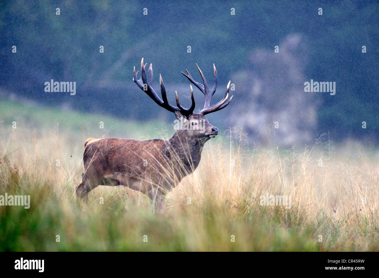 Body of rain hi-res stock photography and images - Alamy