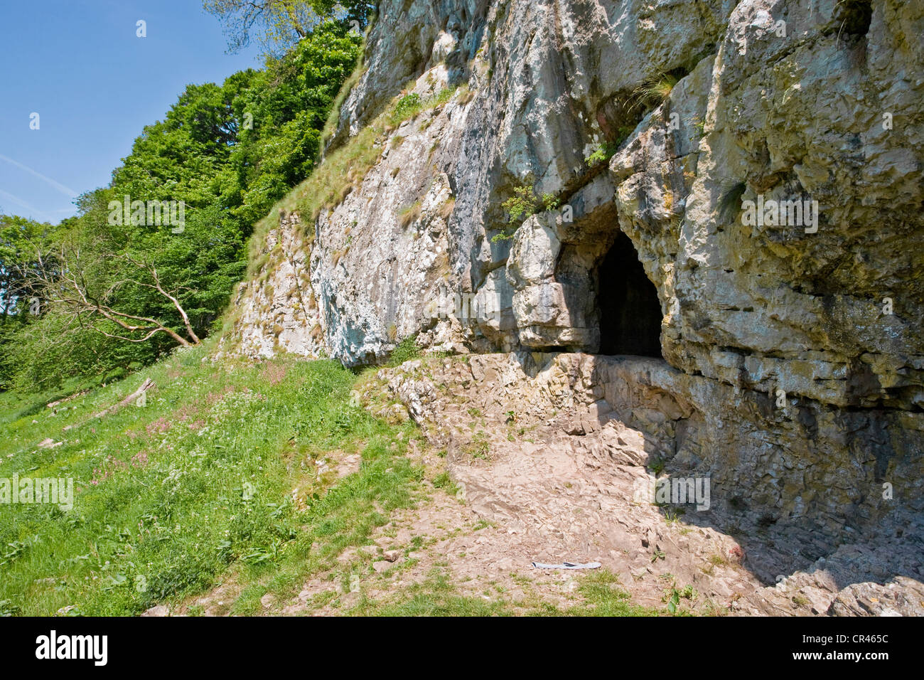 Limestone in Dovedale, Derbyshire Stock Photo - Alamy