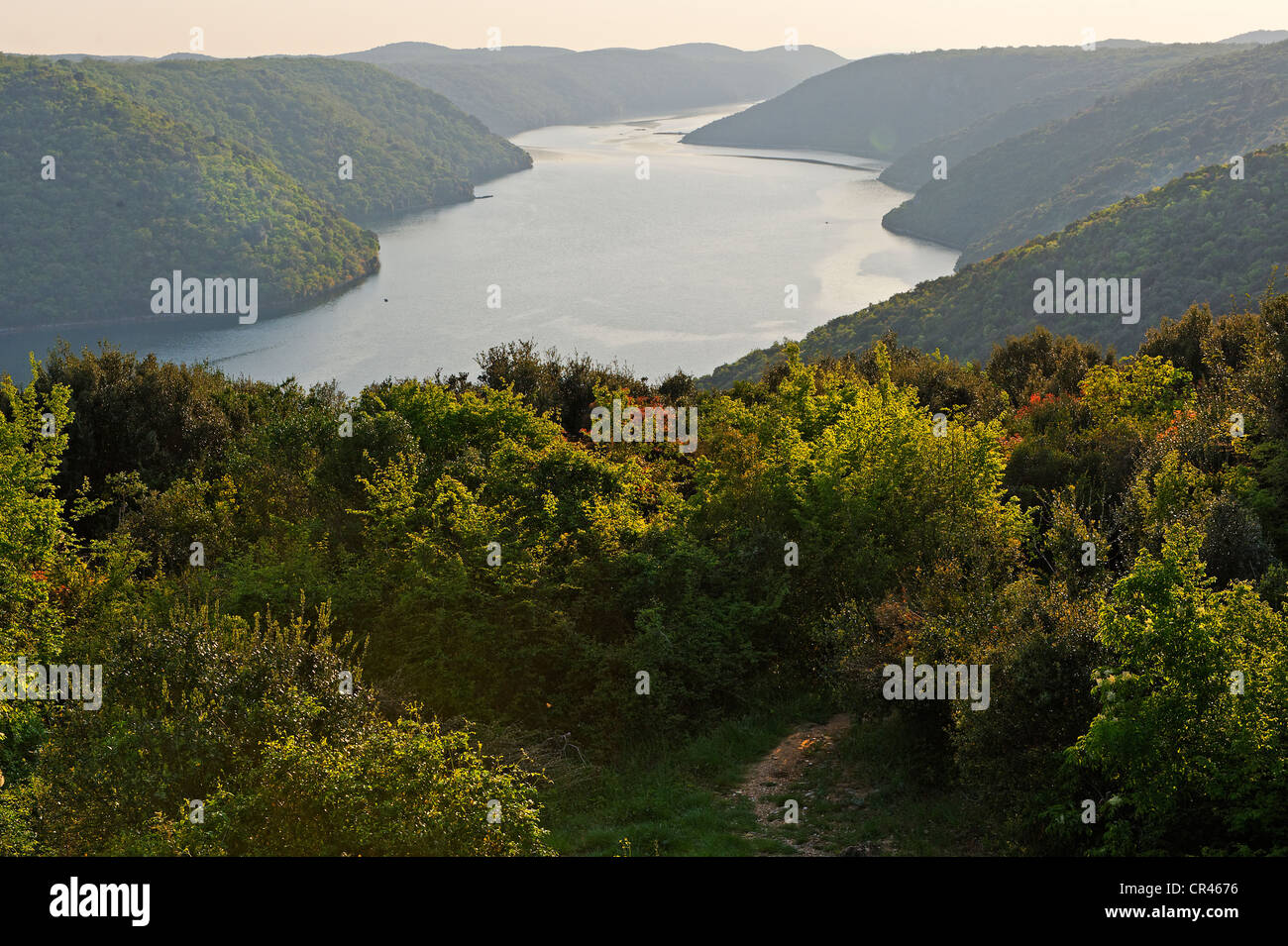 Lim hi-res stock photography and images - Alamy