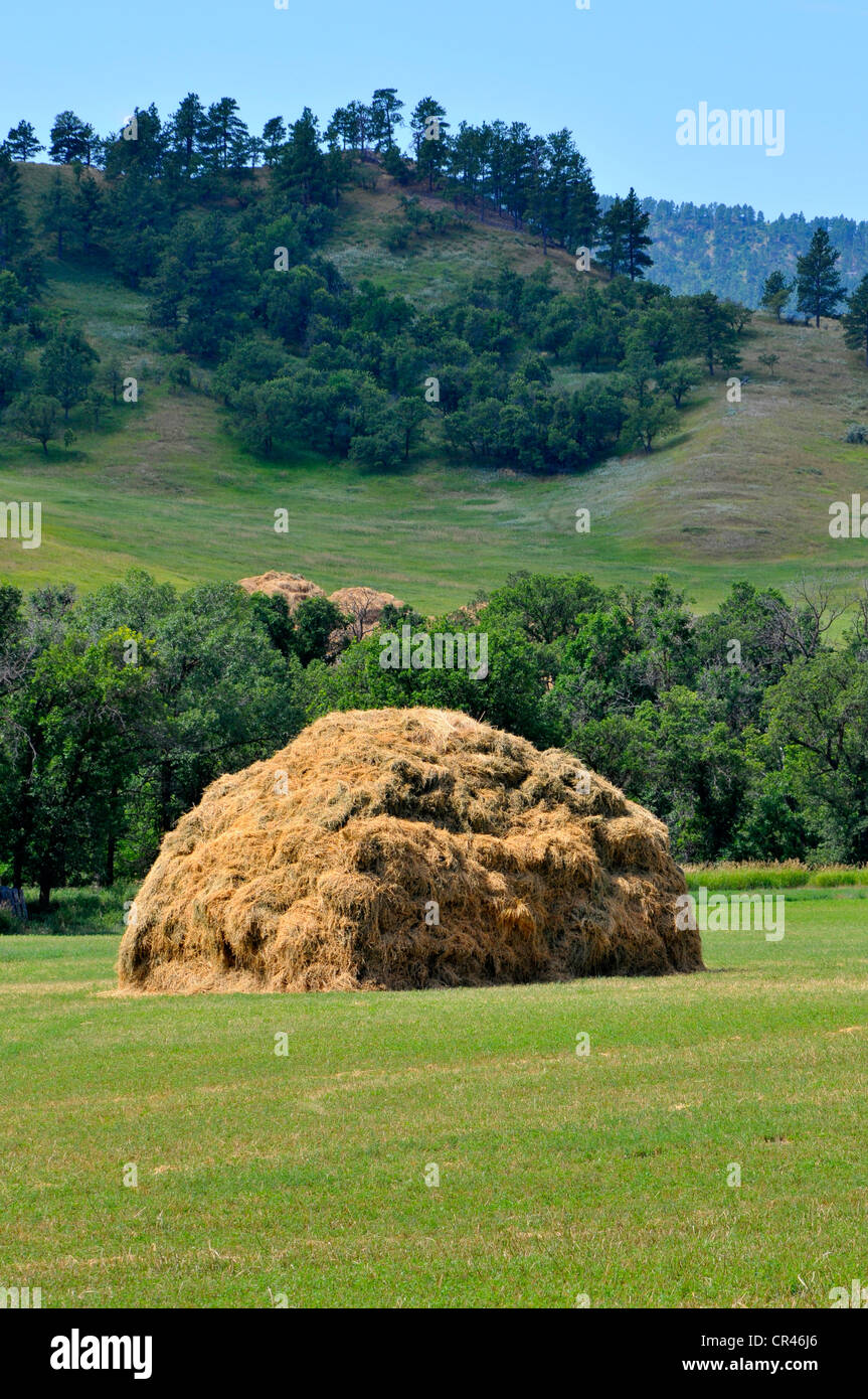 Hay mounds Wyoming WY US United States farming agriculture Stock Photo ...