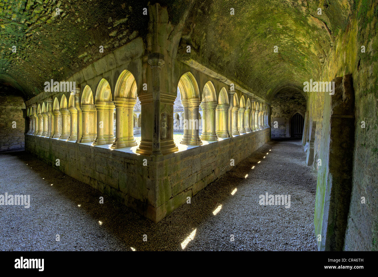 Cloister, ruins of the former Franciscan monastery, Askeaton, County ...