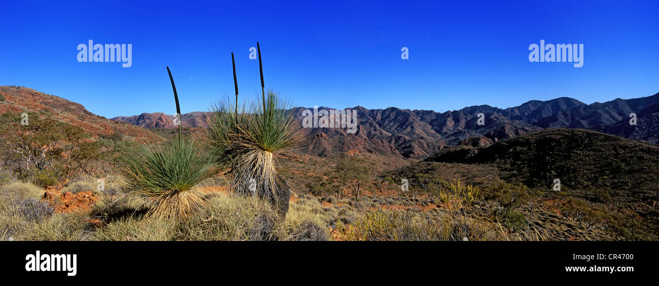 Australia, South Australia, Arkaroola, panorama on the Flinders Ranges ...