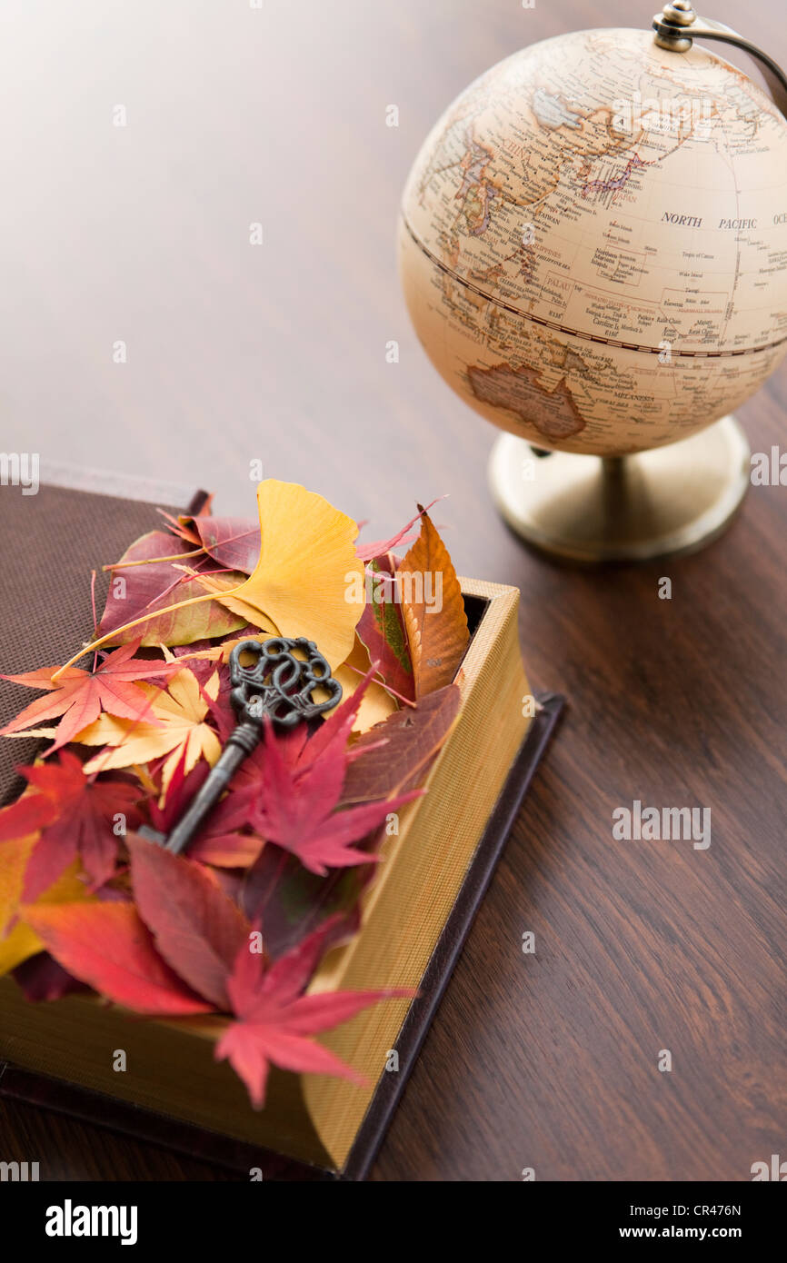Autumnal Leaves In Box Stock Photo - Alamy