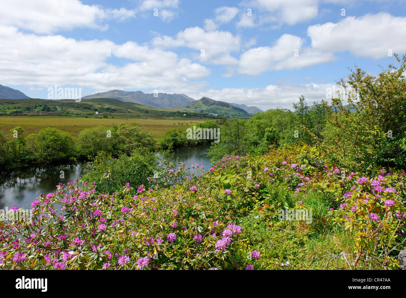 Joyce Country between Leenane and Maam, County Galway, Ireland, Europe ...