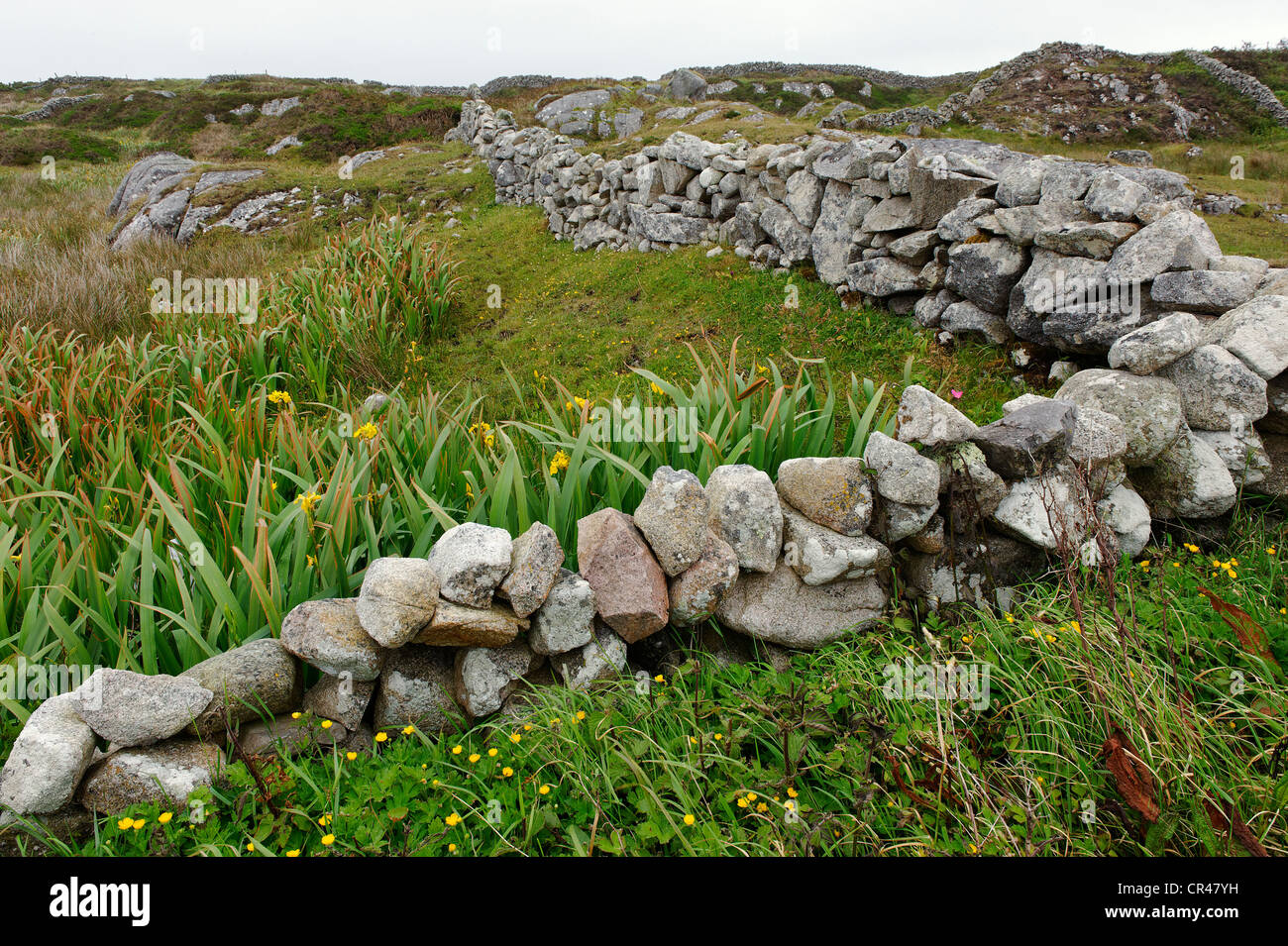 Irish dry stone wall hi-res stock photography and images - Alamy