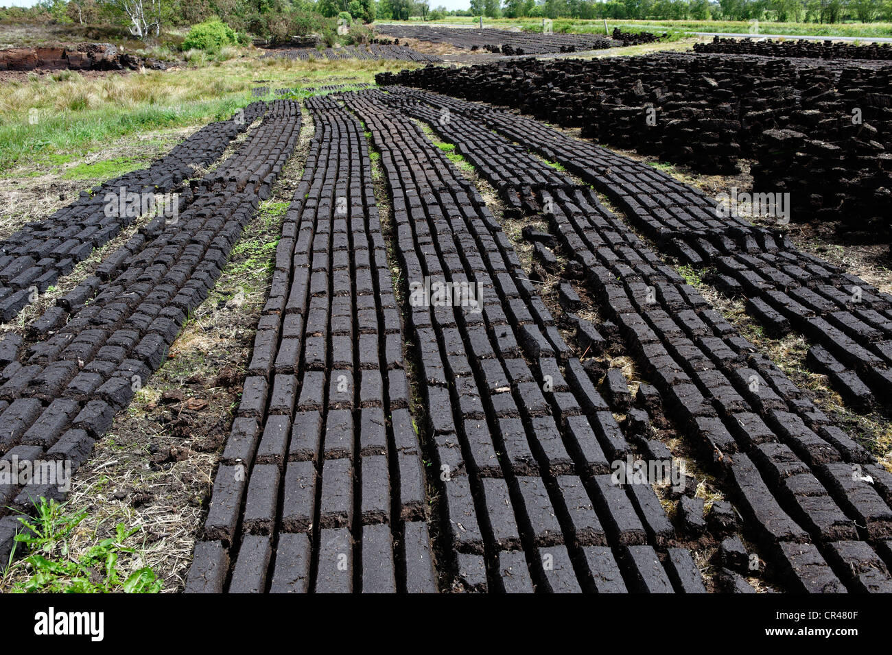 Peat cutting between Doon and Clonmacnoise, County Offaly, Ireland ...