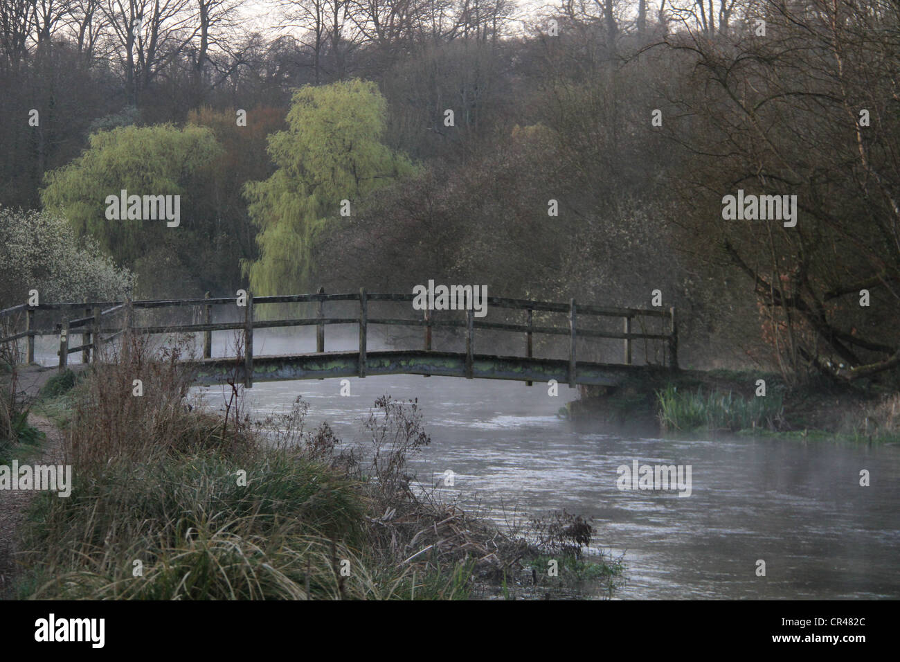 Oak Foot Bridge Stock Photo - Alamy
