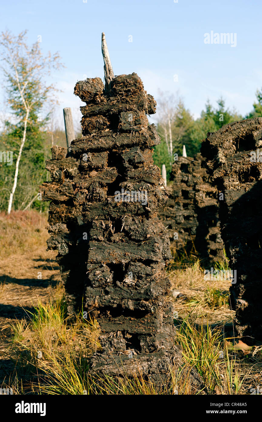 Stacked peat, Kollerfilze or Koller Filze moor, Nicklheim, Raubling ...